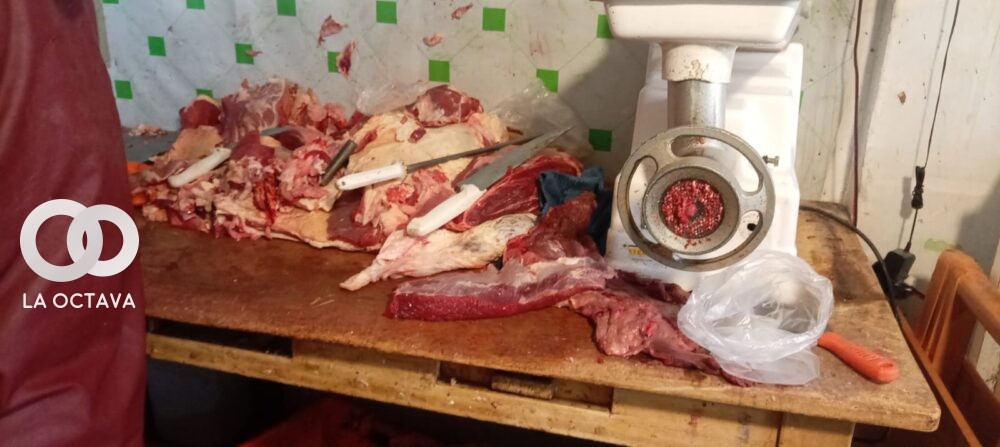 El Alto refuerza controles ante presunto comercio ilegal de carne de burro