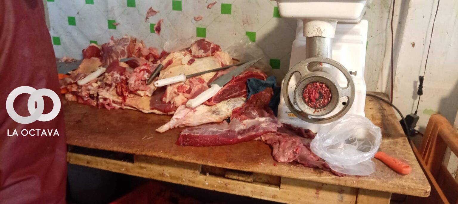 El Alto refuerza controles ante presunto comercio ilegal de carne de burro